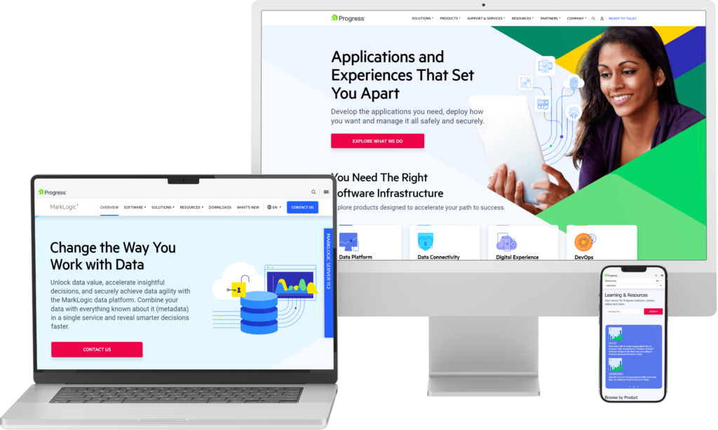 Progress - OpenEdge Software
